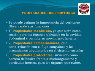 Peritoneo | PPTX