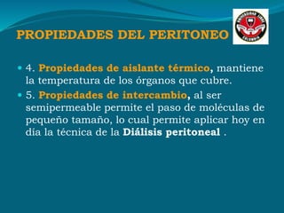 Peritoneo | PPTX
