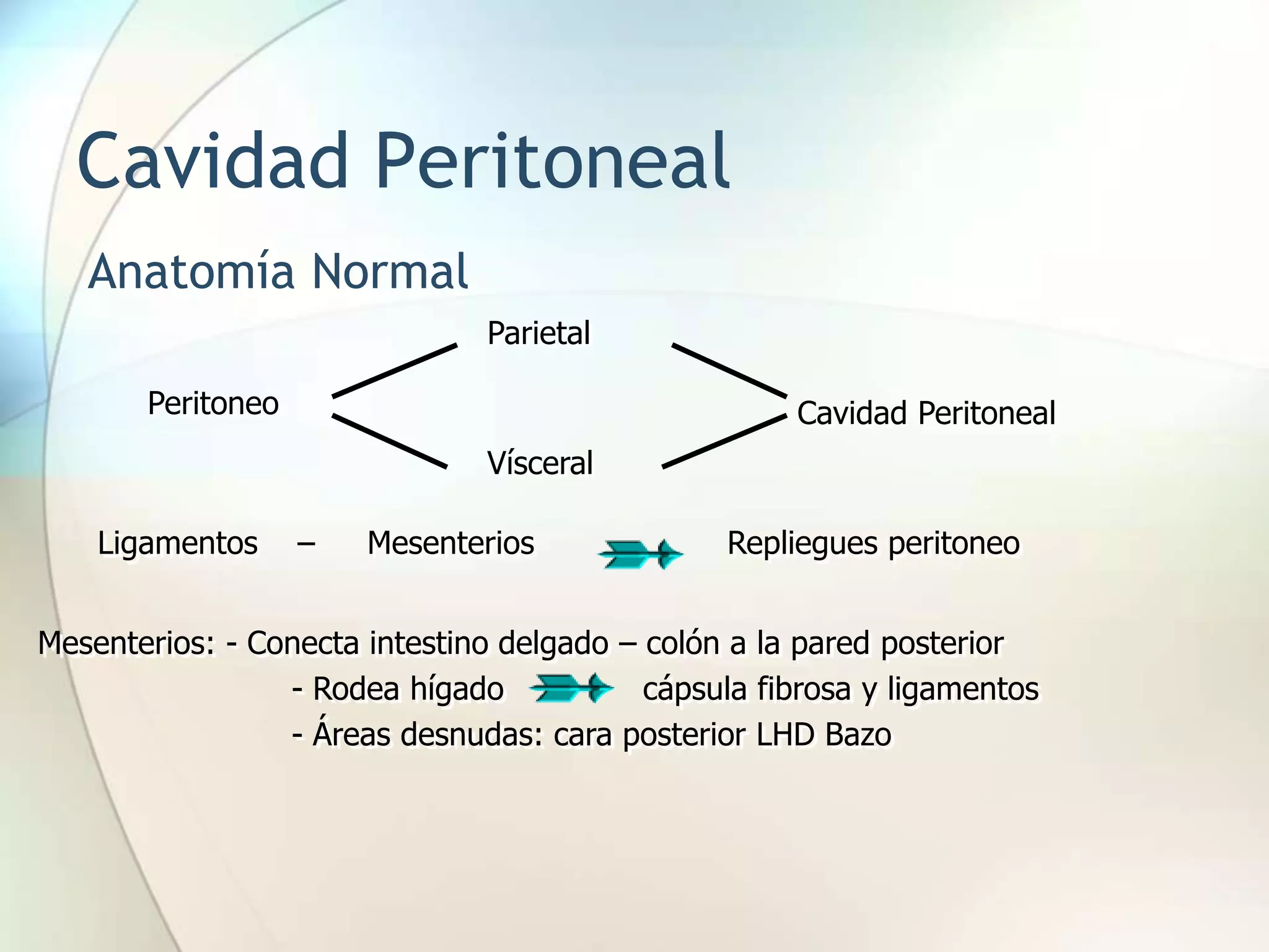 Peritoneo | PPT