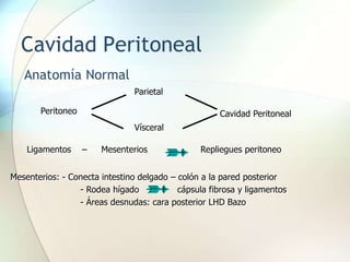 Peritoneo | PPT
