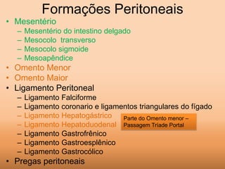 Carcinomatose Peritoneal e outras Anomalias | PPTX