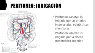 peritoneo.pptx