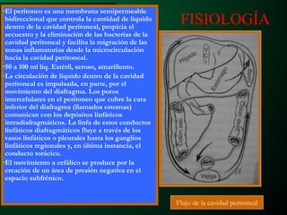 peritoneo sus partes anatomicas que es y muchas cosas mas | PDF