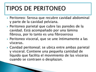 Peritoneo diviciones de la region abdominal | PPTX