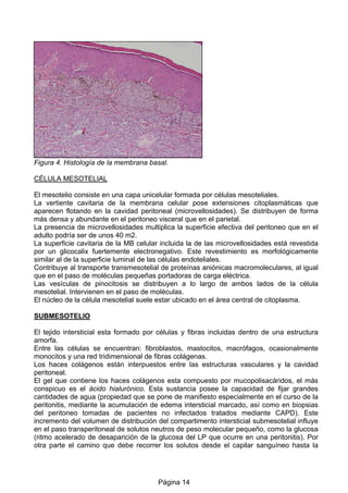 PERITONEO 1.pdf