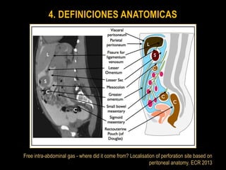 Peritoneo anatomia rm | PPTX
