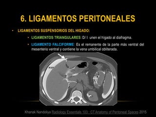 Peritoneo anatomia rm | PPTX