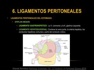 Peritoneo anatomia rm | PPTX
