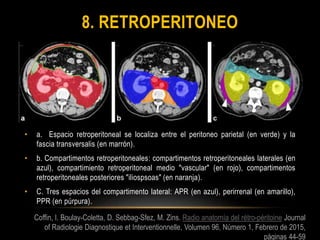 Peritoneo anatomia rm | PPTX
