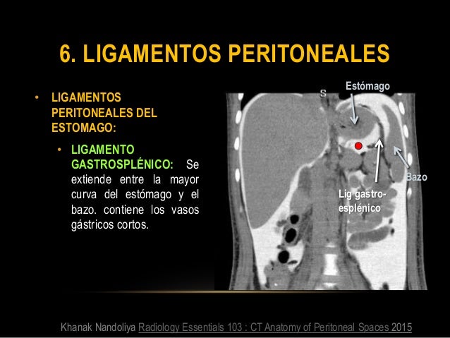 Peritoneo anatomia rm