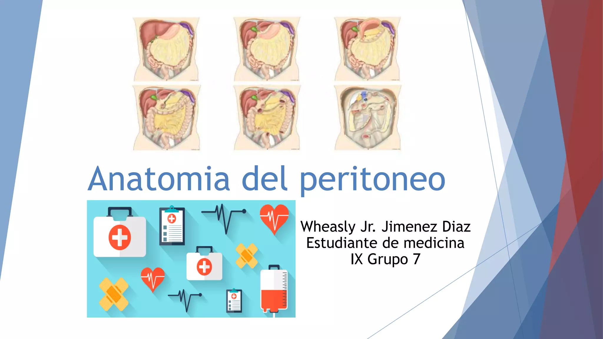 Anatomia del peritoneo | PPTX