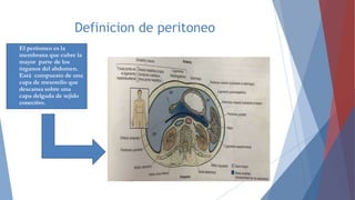 Anatomia del peritoneo | PPTX