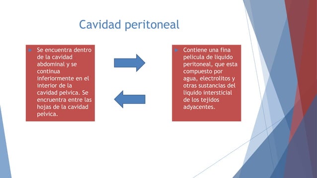 Anatomia del peritoneo | PPTX