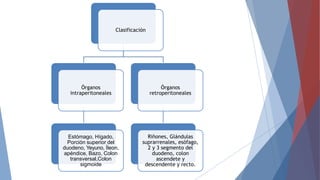 Anatomia del peritoneo | PPTX