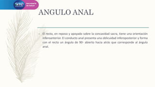 PERITONEO PELVICO Y ESTATICA ABDOMINO-PELVICA.pptx