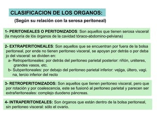 Peritoneo | PPT