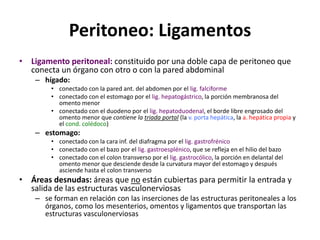 Peritoneo y Cavidad Peritoneal | PPTX