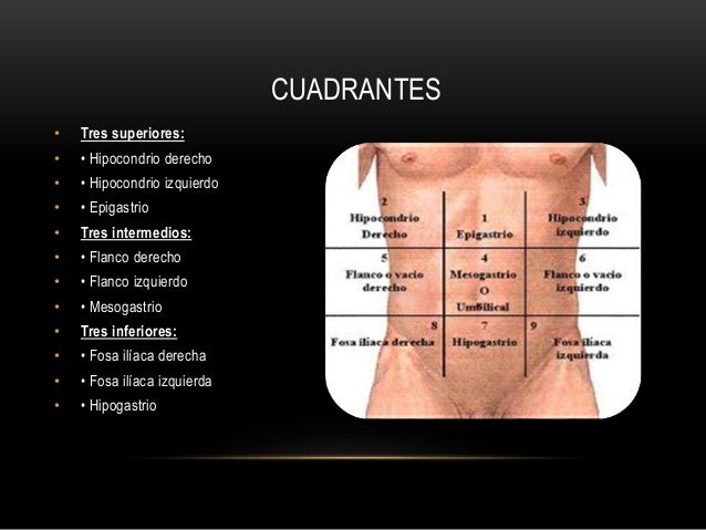 Quadrantes Do Abdomen