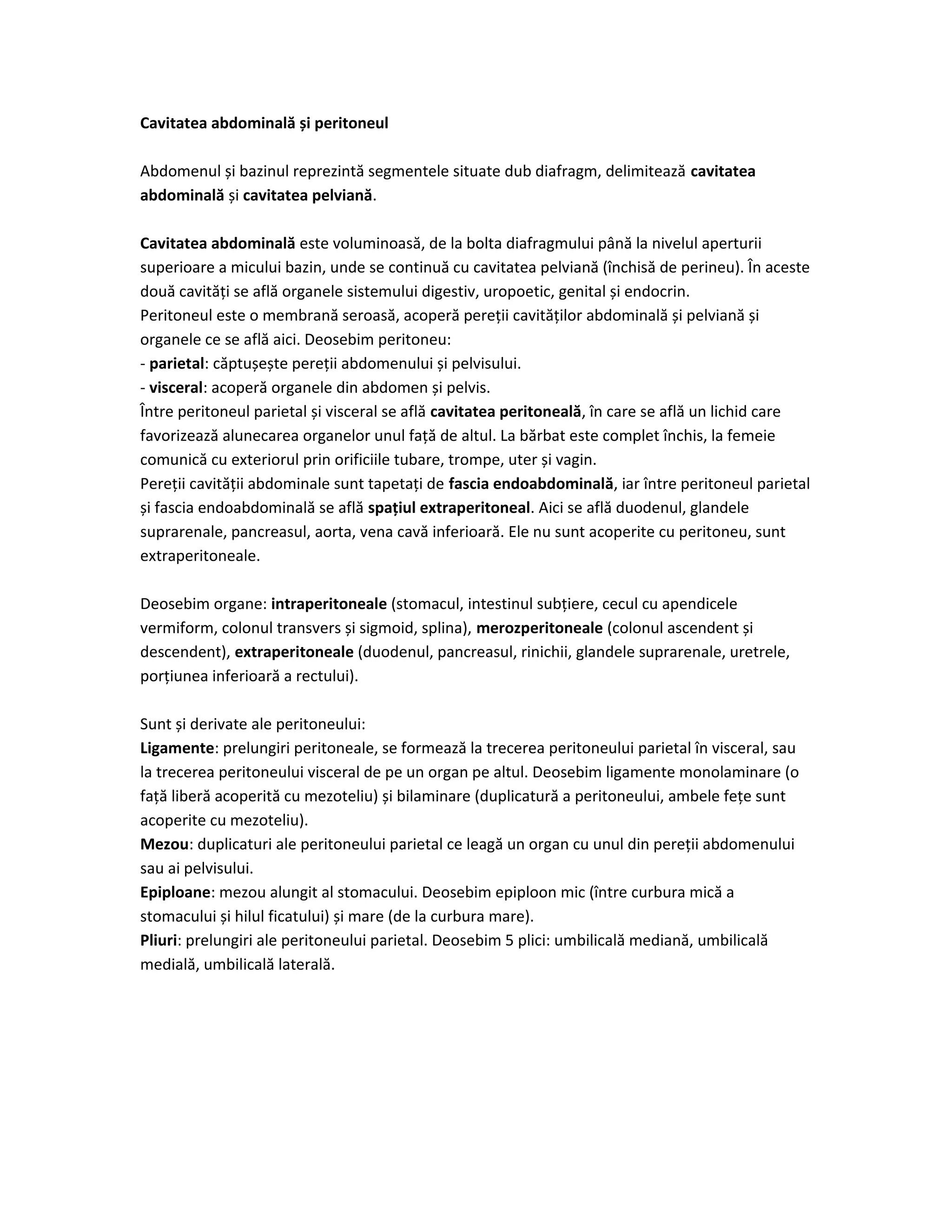 Anatomie: Peritoneul | RTF
