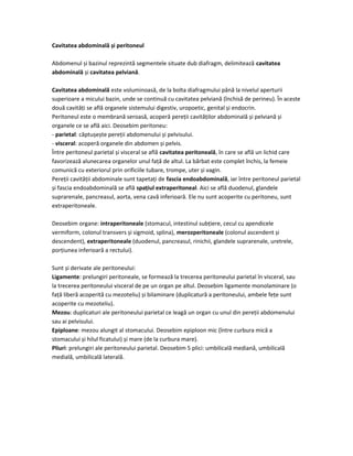 Anatomie: Peritoneul | RTF