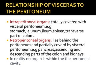 Peritoneum | PPTX