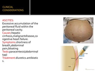 Peritoneum | PPTX