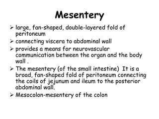 Peritoneum | PPTX