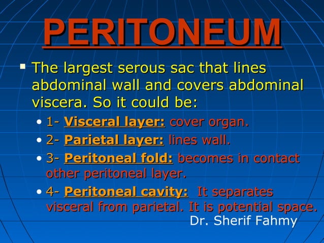The Peritoneum (Anatomy of the Abdomen) | PPS | Geography | Science