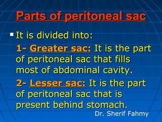The Peritoneum (Anatomy of the Abdomen) | PPS