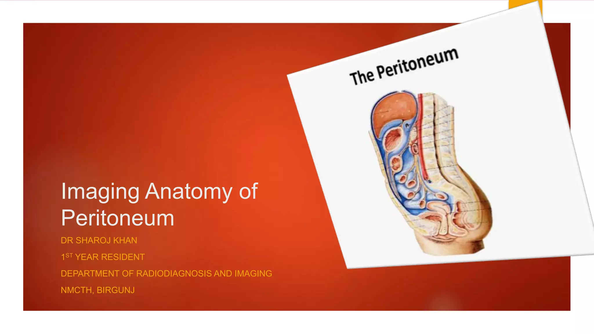 Peritoneum | PPTX