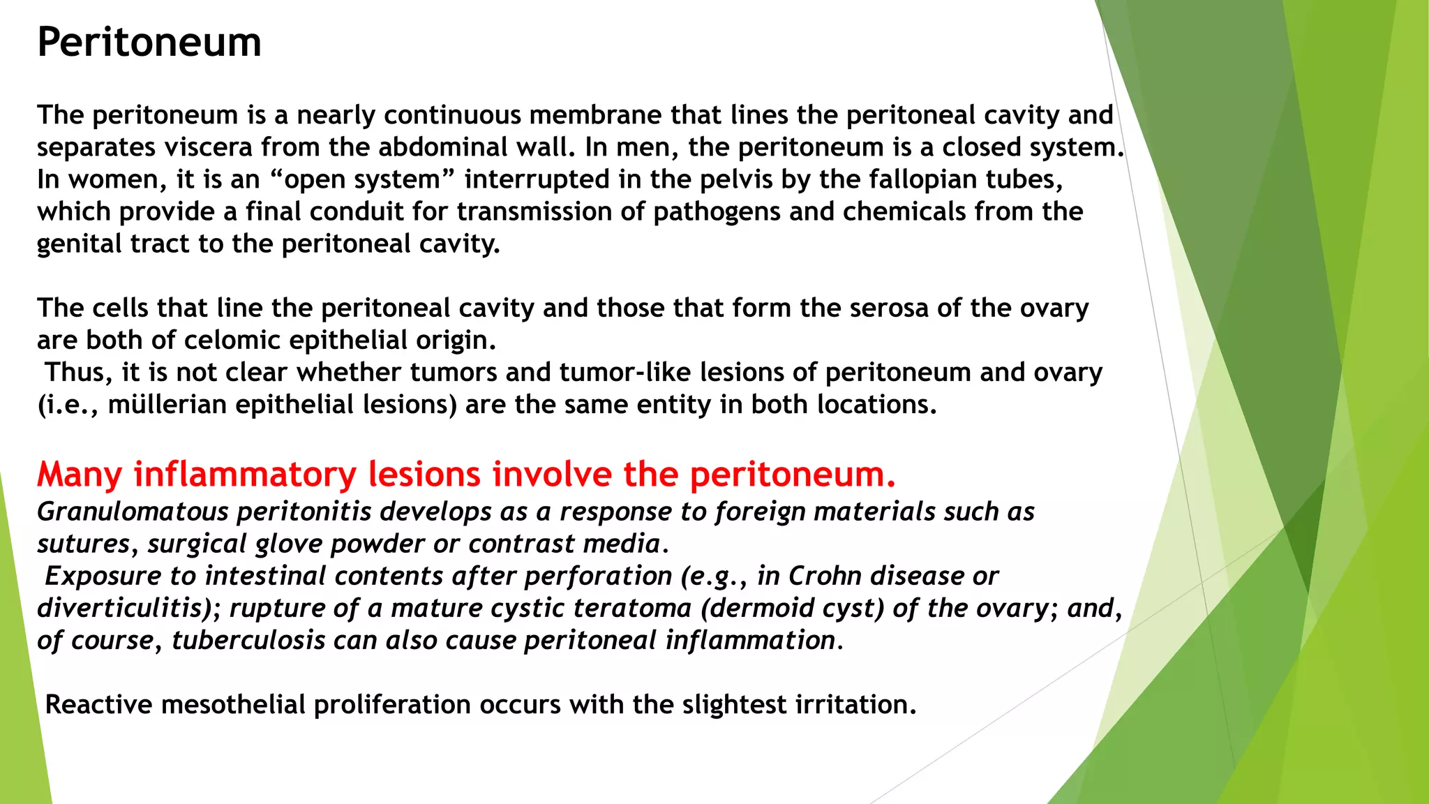 Peritoneum | PPT