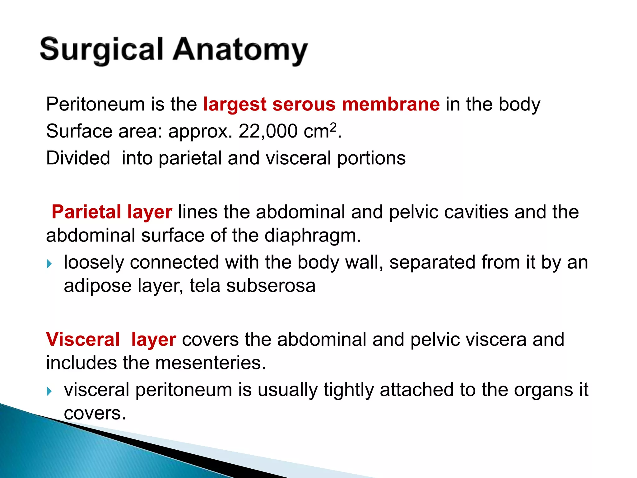 peritoneum.ppt