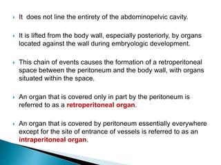 peritoneum.ppt