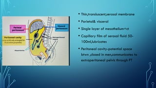 RADIOLOGICAL ANATOMY OF PERITONEUM.pptx