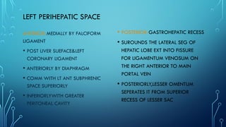 RADIOLOGICAL ANATOMY OF PERITONEUM.pptx