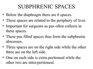 Anatomy of peritoneum with applied aspects. | PPTX
