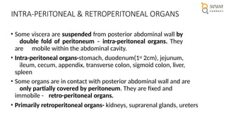 The entire Peritoneum Anatomy and applied | PPTX