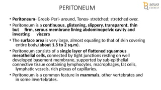The entire Peritoneum Anatomy and applied | PPTX
