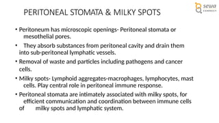 The entire Peritoneum Anatomy and applied | PPTX