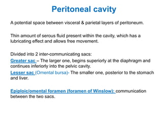 Peritoneum , Dr. Anudeep singh | PDF