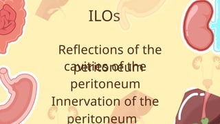 Comprehensive Overview of the Peritoneum: Anatomy, Reflections, and ...