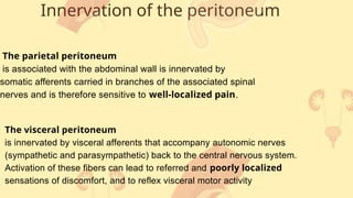 Comprehensive Overview of the Peritoneum: Anatomy, Reflections, and ...