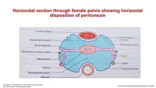Peritoneum | PPTX