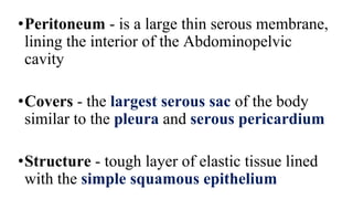 Peritoneum - serous membranous lining of abdominal cavity | PDF