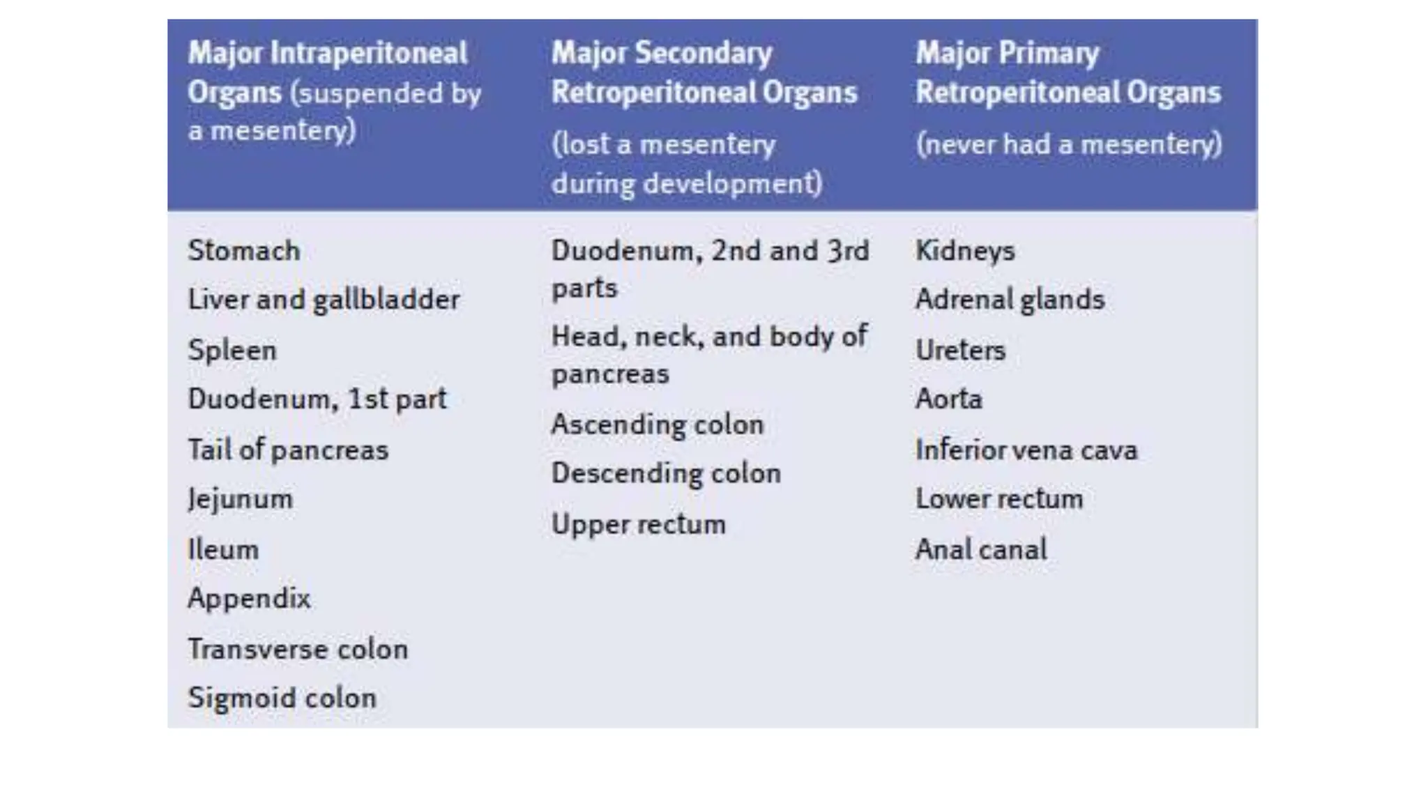 Peritoneum_structure and function_ Anatomy | PPTX