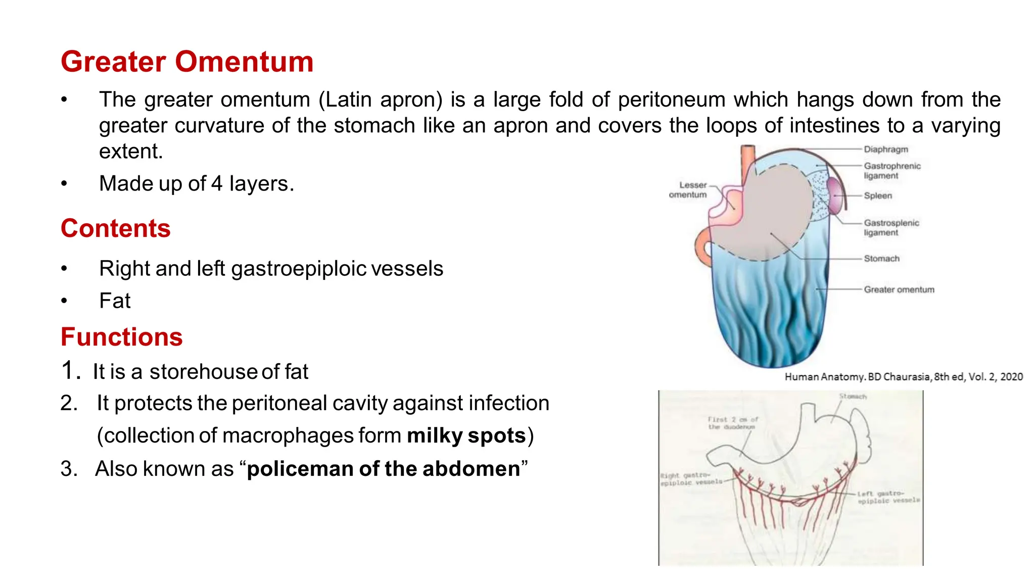 Peritoneum_structure and function_ Anatomy | PPTX