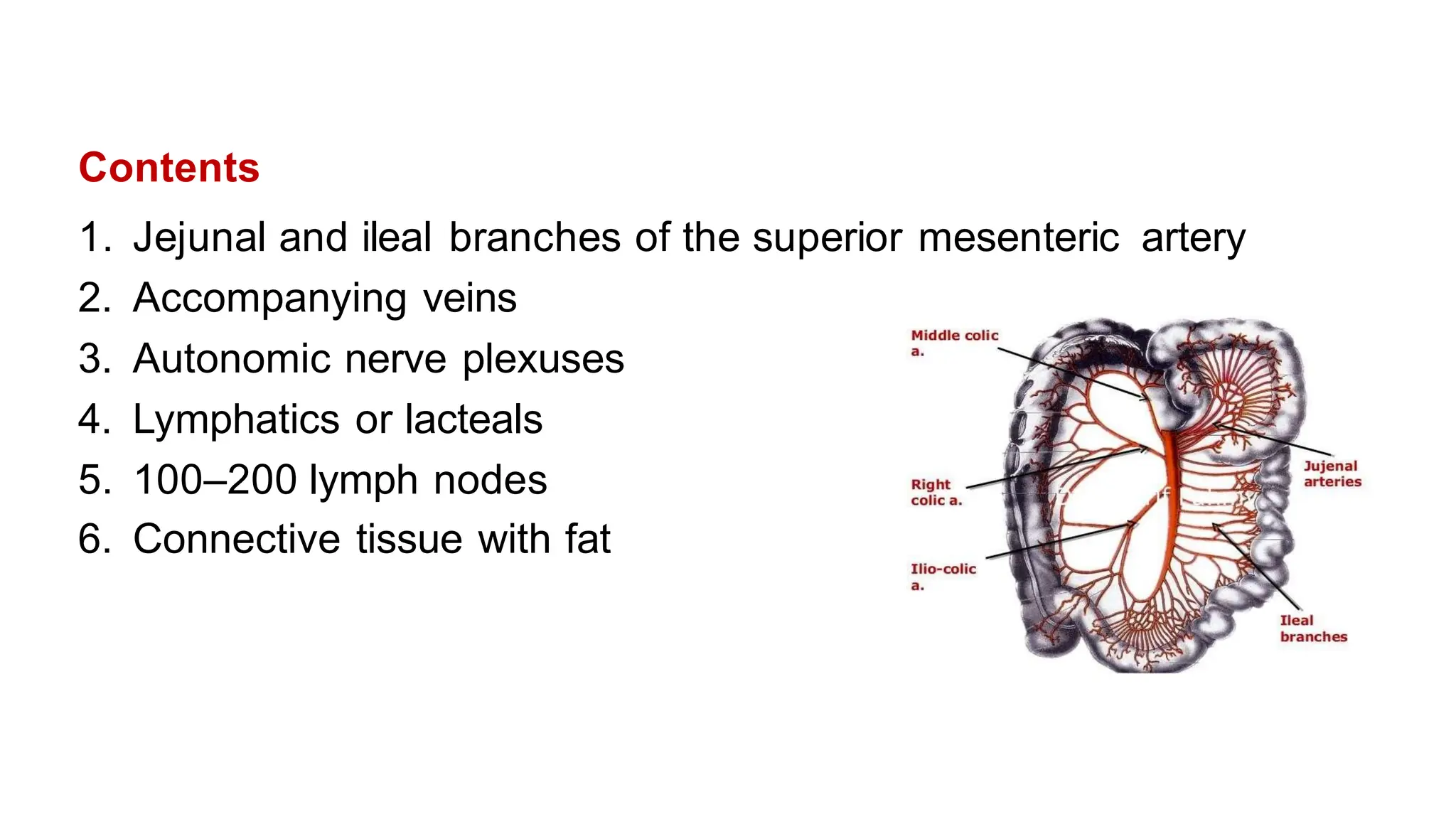 Peritoneum_structure and function_ Anatomy | PPTX