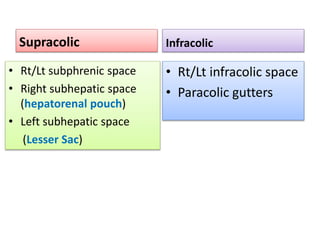 Supracolic Compartment