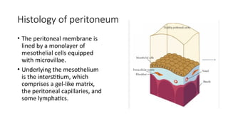 PERITONEUM - role in peritoneal dialysis | PPTX
