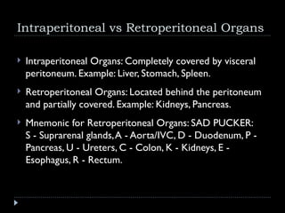 Peritoneum_Lecture_Detailed_Dr_Akhand.pptx